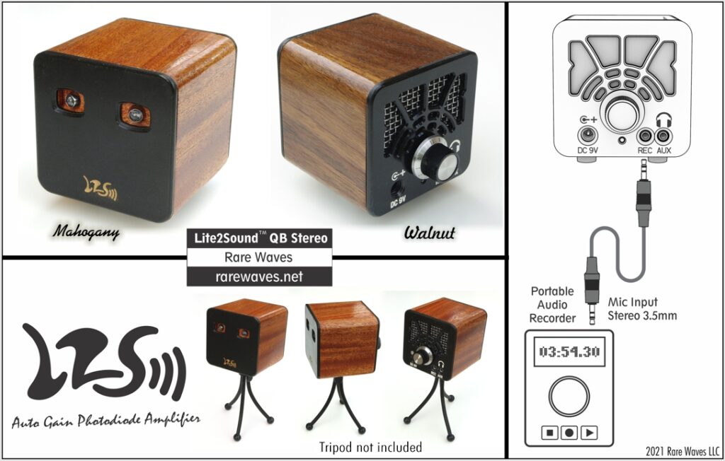 Rare Waves | Makers of fine electronic music instruments